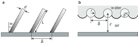 Two Geometries Considered For The Water Repellent Hair Pile A A