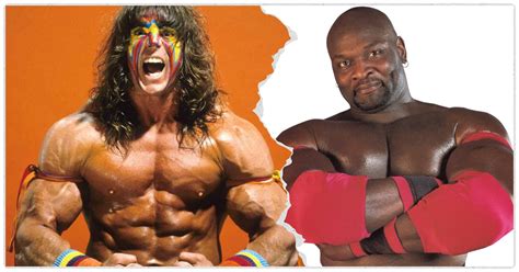 Ultimate Warrior 10 Dream Feuds Fans Never Got To See