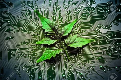 The Benefits Of Green Computing In 2024 Exploring Sustainable