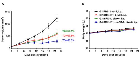 转化生长因子β（tgfβ）人源化小鼠 知乎