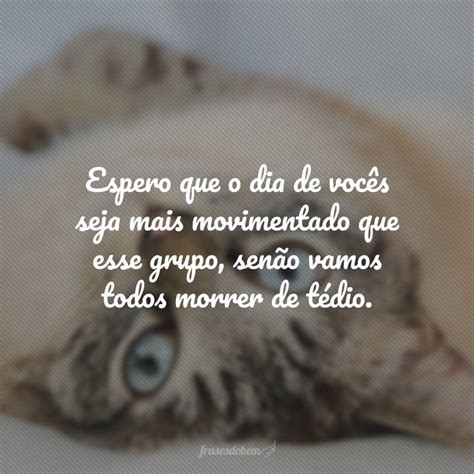40 Frases Para Grupo Parado Que Vão Agitar A Galera Quieta