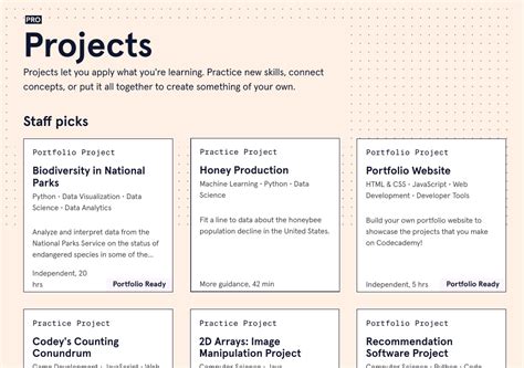 Codecademy Review Is It Worth It Skillspot