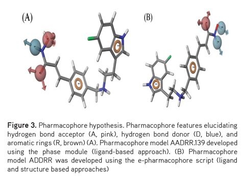 Exploration Of Structure Activity Relationship Using Integrated Structure And Ligand Based