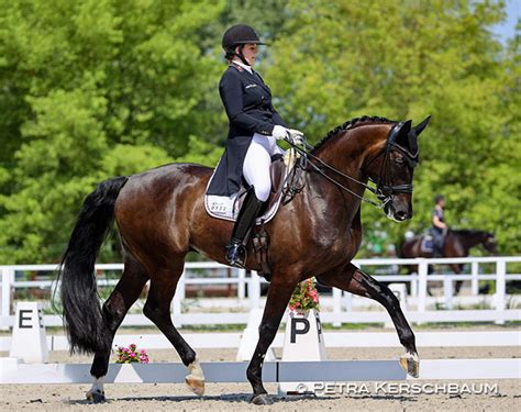 Pistner On Individual Gold Medal Course At 2023 European Young Riders Championships