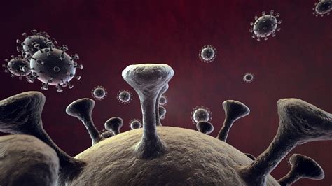 Peneliti Temukan Mutasi Virus Corona Hybrid Apa Itu KlikDokter