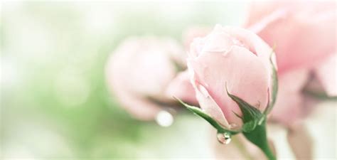 Onnea Onnea Onnea Vaan Et