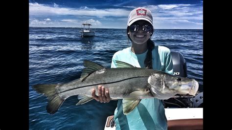 Monster Snook Fishing Day Of The Coast Of Florida Site Title