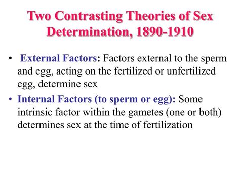 PPT Doing Ones Damndest With No Hold Barred Pluralism In Methodology In History And