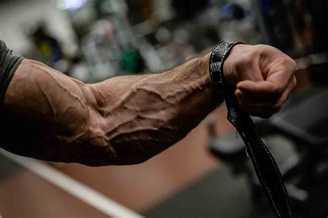 Forearm Genetics Tips And Tricks To Grow Forearms Quickly Flex Ai