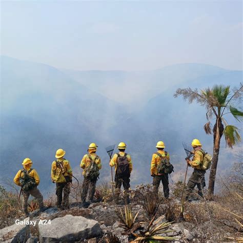 Reporta Coesfo 10 Incendios Forestales Activos En La Entidad
