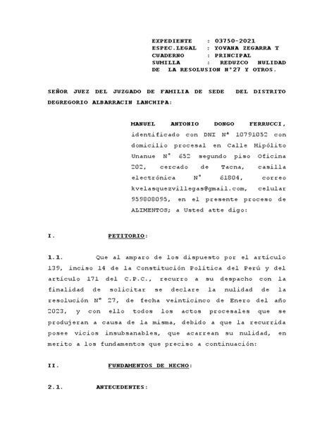 Recurso De Nulidad Manolo Pdf Debido Al Proceso Ley Procesal