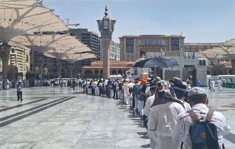 Demi Berkah Berdoa Di Raudhah Jemaah Haji Rela Antre Panas Panasan
