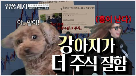 논란의 그 주식 영풍제지 하따요 제가 한번 해보겠습니다 YouTube