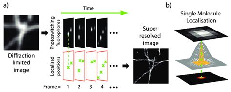 A Illustration Of The SMLM Imaging Process When All Fluorophores