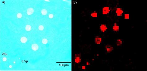 Colorimetric And Sers Based Dna Detection A Colorimetric Detection Download Scientific Diagram