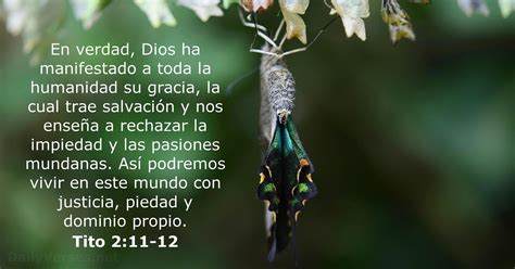 Tito 2 11 12 Versículo de la Biblia DailyVerses net