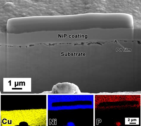 The Cross Sectional Morphology Of The Nip Coating On Palladium Film Download Scientific