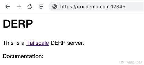 Tailscale自建中转服务器derper搭建笔记（基于docker）tailscale自建服务器 Docker Csdn博客