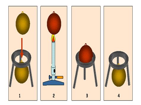 Fisicosarng