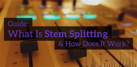 Guide What Is Stem Splitting And How Does It Work Soundtrap Blog