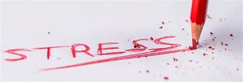 Stress Relief Techniques For Busy Professionals Florida Door Access
