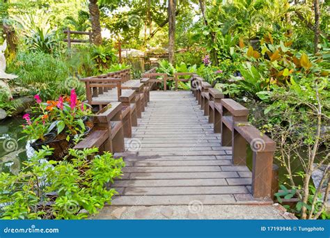 Ponte De Madeira No Jardim Imagem De Stock Royalty Free Imagem 17193946