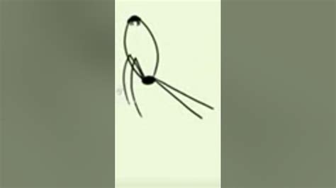 Spoder Son Youtube