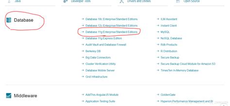 最新版oracle 11g下载和安装教程