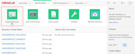 Accessing Object Browser