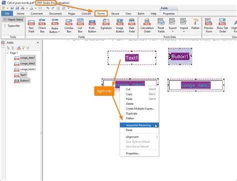 Solved Rename All Fields On A Form Adobe Product Community 12605286