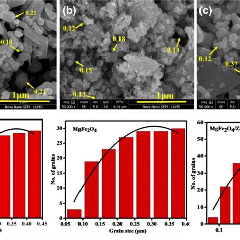 Sem Analysis Of A Zno B Mgfe2o4 And C Mgfe2o4 Zno Perlite Along With