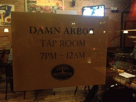 Damn Arbor City Council Viewing Party