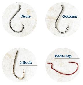 The Science Of Circle Hooks In Fisherman