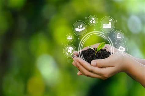 Socio Economic Development Trywin Charitable Trust