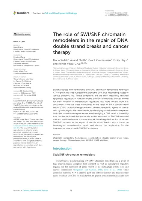 Pdf The Role Of Swisnf Chromatin Remodelers In The Repair Of Dna