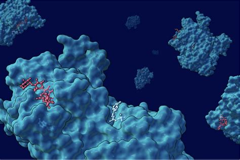 Pdb 101 Pdb 101 Focus Peak Performance