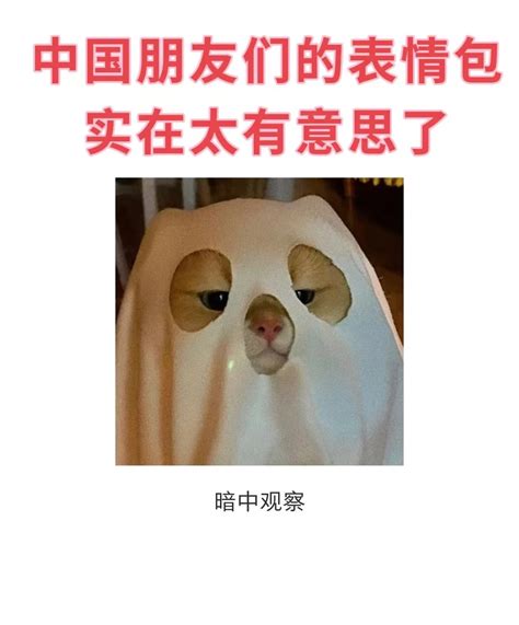 表情包丨太有实力了哥们