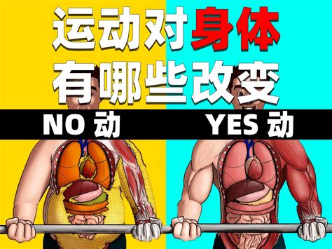 运动对身体有哪些改变 Dy健身砖家 Dy健身砖家 哔哩哔哩视频
