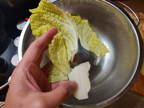 Qianlong Baicai 乾隆白菜 The Chinese Caesars Salad Carry It Like Harry