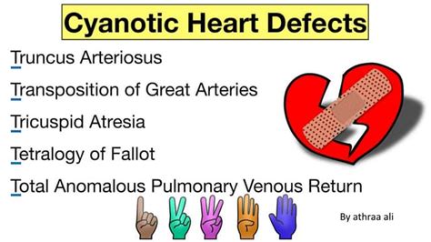 Cyanotic Congenital Heart Defectspptx