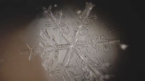 A Drop Of Water Turns Into A Snowflake Fixation Of A Natural Process Under A Microscope Stock