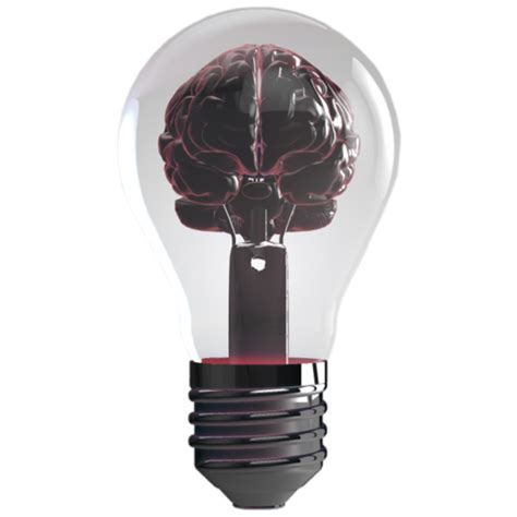 Ikaros Karyotyping Software Metasystems