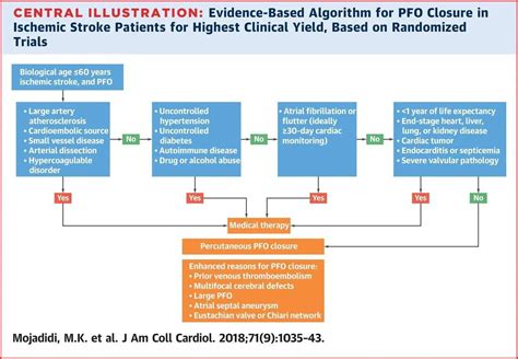 Pfo Closure Illustration The Skeptical Cardiologist