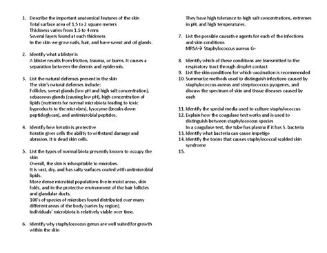Cheat Sheet 1 Describe The Important Anatomical Features Of The Skin Total Surface Area Of 1