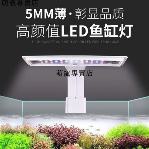 暢銷魚缸燈led夾燈防水小型草缸燈節能照明高亮增艷烏龜水族箱水草燈 蝦皮購物