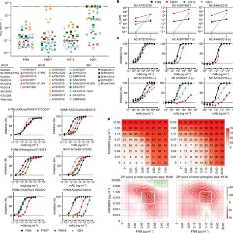 design of the codon reprogrammed na gene a sequence alignment of