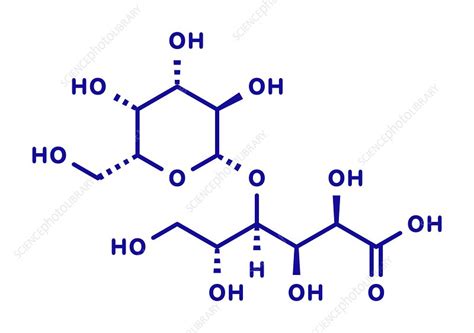 Lactobionic acid molecule, illustration - Stock Image - F030/5919 ...