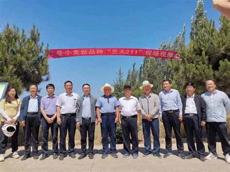 生态学院教师受邀参加全省小麦绿色高效生产现场观摩活动，对冬小麦“兰大211”进行现场推介兰州大学新闻网