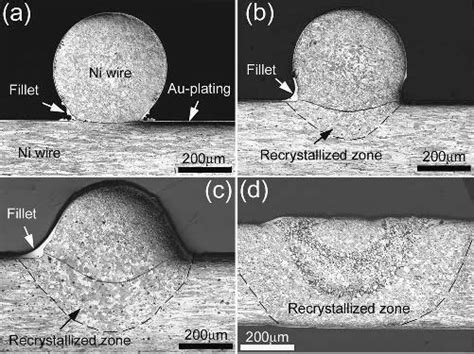 Om Cross Sectional Micrographs Of Joints Between Au Plated Ni Wires