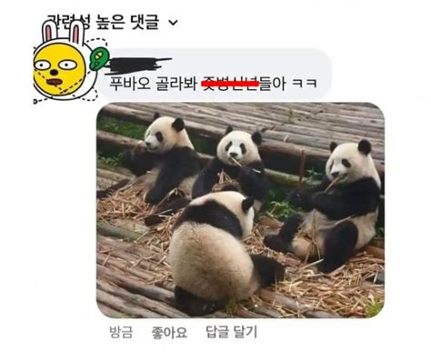 푸바오 오열 한녀 팩폭 자유게시판 슈퍼맨tv 고화질 해외 스포츠 중계 Epl Nba Mlb 라이브